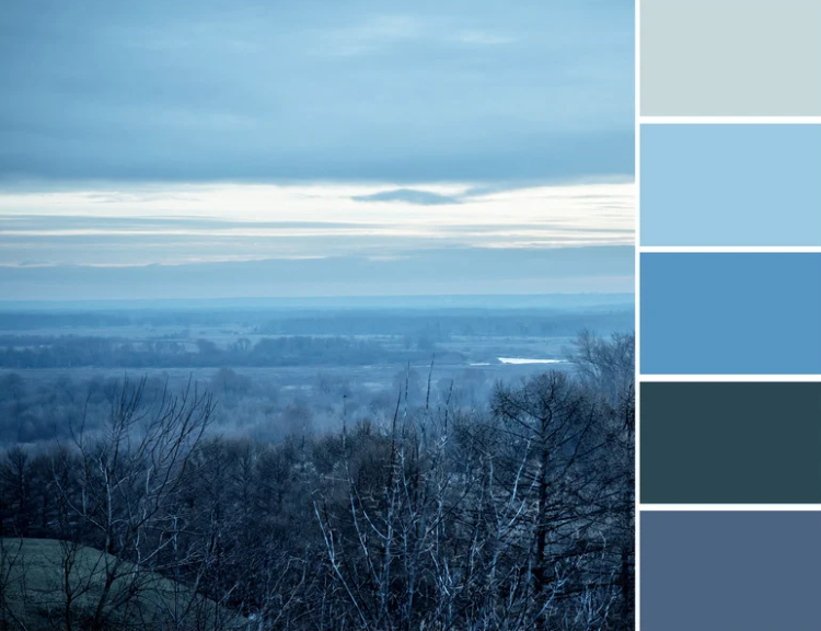 Choosing the Perfect Color Palette for Your Digital Products – Designed ...